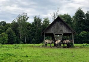 12 Amazingly Beautiful Places in Poland (Europe's Secret)