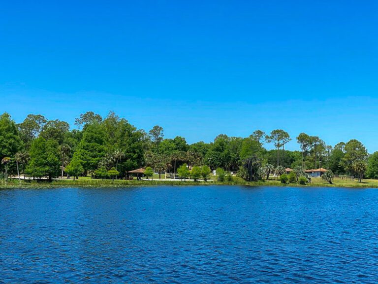 12 Cheap Orlando Adventures: Springs, Scenic Walks & Free Brews