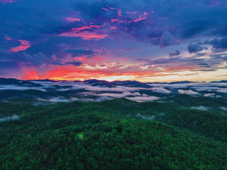 12 Most Beautiful Places in Georgia (USA) to See in 2026