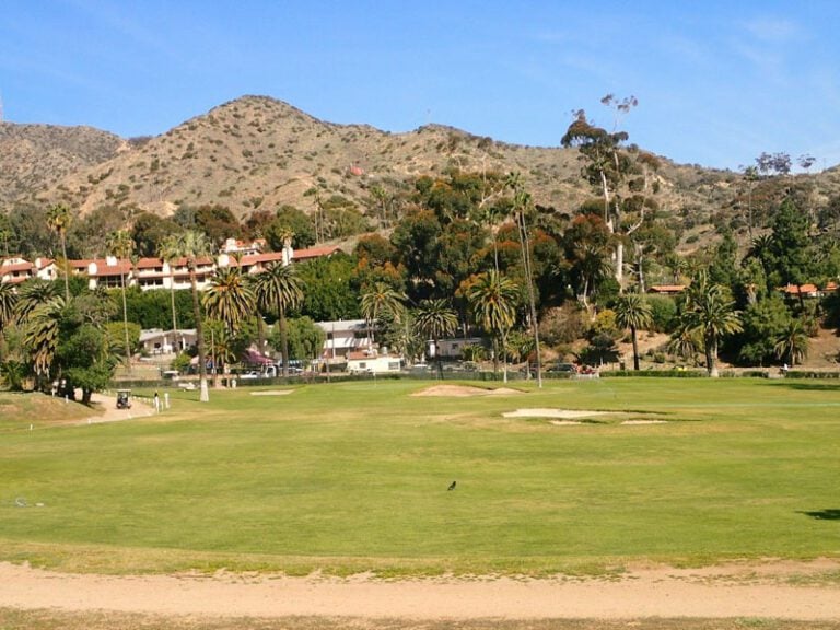 Catalina Island Adventures: 12 Best Things to Do and See - Global Viewpoint