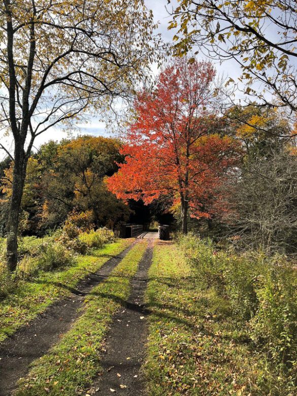 A Long Weekend in the Catskills: 15 Stops for the Perfect Mountain Escape