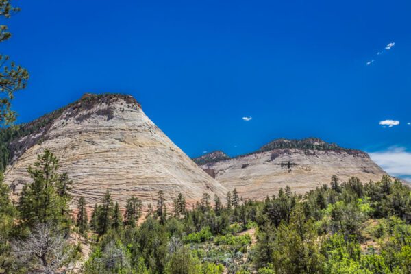 Zion National Park Bucket List: 12 Fun Things to Do & See
