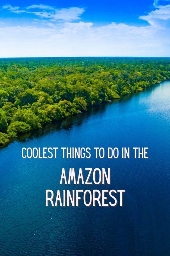 Amazon Rainforest Itinerary: River Cruises, Canopies & Tribal Encounters
