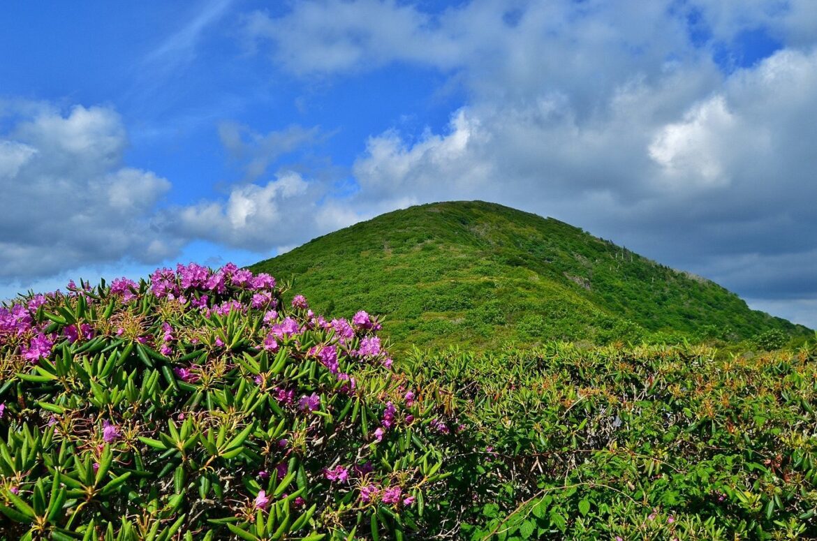 Best Things to Do in the Blue Ridge Mountains: 12 Top Attractions