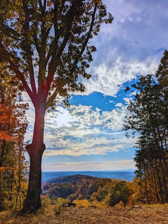 12 Most Beautiful Places in Georgia (USA) to See in 2025