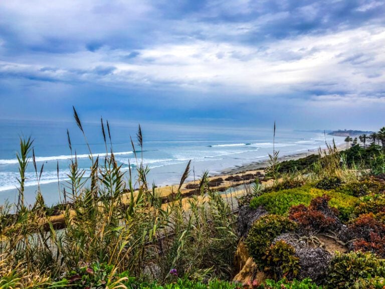 Del Mar, CA Day Trip Guide: Coastal Walks, Beach Eats, Sunset Spotst ...