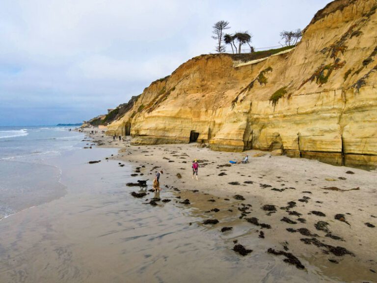 Del Mar, CA Day Trip Guide: Coastal Walks, Beach Eats, Sunset Spotst ...