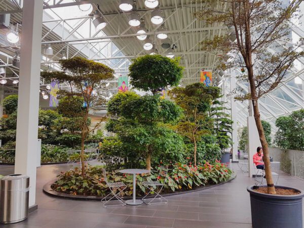 Downtown Calgary’s Coolest Spots: 15 Experiences You Can’t Miss - Global Viewpoint