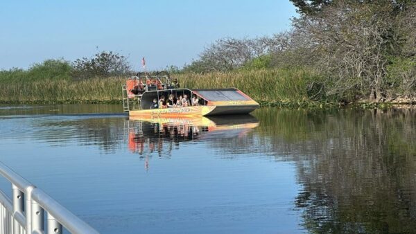 Guide to Everglades National Park: Airboats, Gators & Cold War Secrets ...