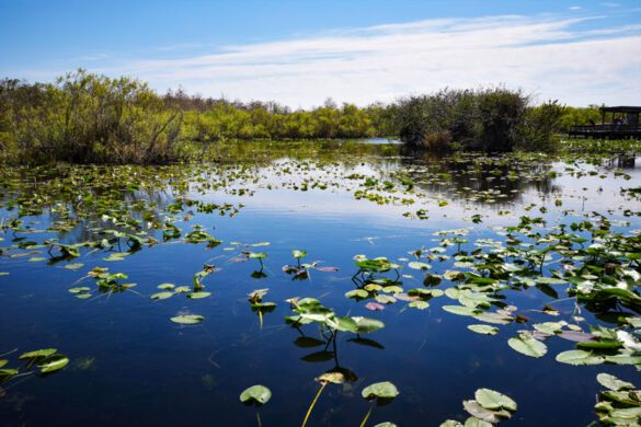 12 Can’t-Miss Things to Do in Southeast US (From Locals’ Favorites to ...