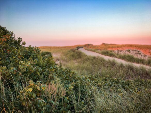 Cape Cod in the Fall: My Guide to Second Summer on the Cape