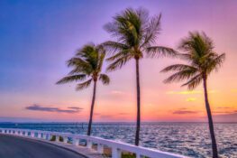 12 Can’t-Miss Things to Do in Southeast US (From Locals’ Favorites to ...