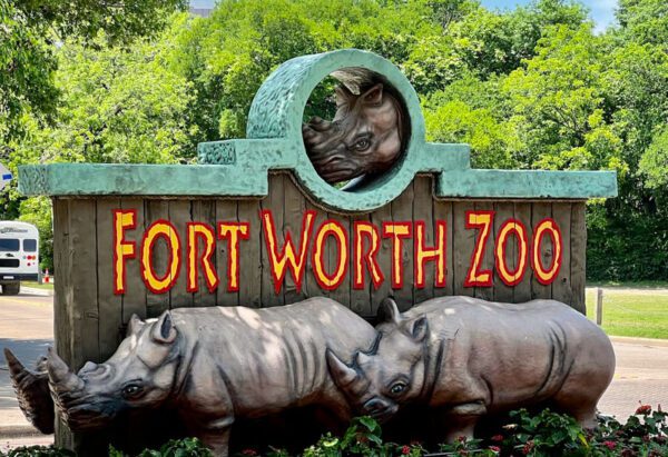 Explore Fort Worth: 12 Fun and Cool Attractions to Visit