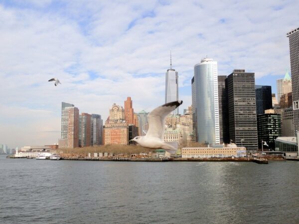 New Jersey Bucket List Guide: Cape May, Shark Tunnels & Edison's Lab