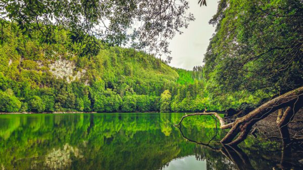 My Azores Adventure Guide: Volcano Lakes, Hot Springs & Whale Watching