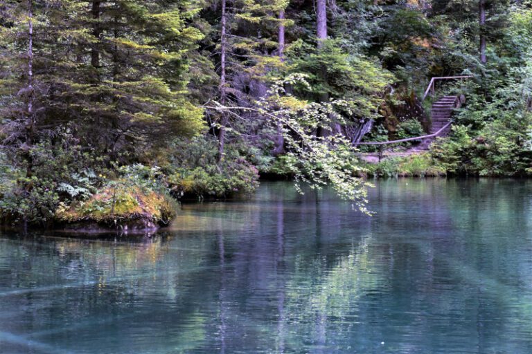12 Absolutely Stunning Lakes in Switzerland to Add to Your Bucket List ...