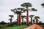 12 Beautiful Places in Madagascar to Visit (#4 Will Amaze You)
