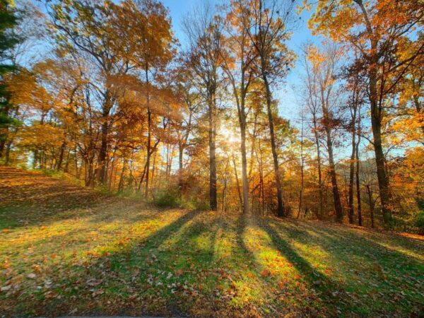 12 Places in Ohio That Will Leave You Speechless - Global Viewpoint