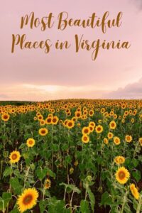 12 Jaw-Dropping Destinations in Virginia to Visit This Year