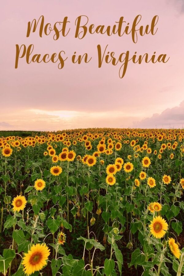 12 Jaw-Dropping Destinations in Virginia to Visit This Year