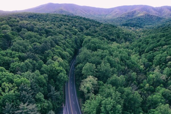 12 Jaw-Dropping Destinations in Virginia to Visit This Year