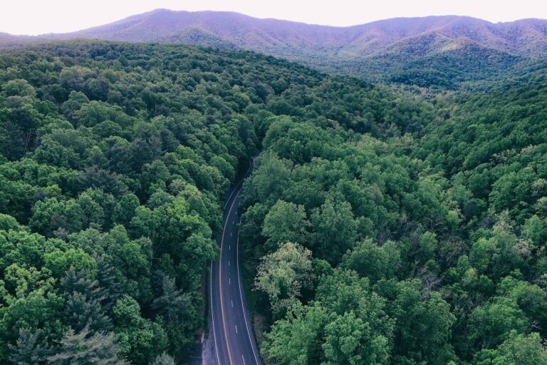 12 Jaw-Dropping Destinations in Virginia to Visit This Year