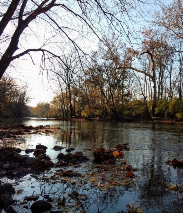 12 Picture-Perfect Places in Indiana That Will Blow Your Mind - Global ...