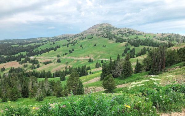 12 Amazingly Beautiful Places in Yellowstone to Visit - Global Viewpoint