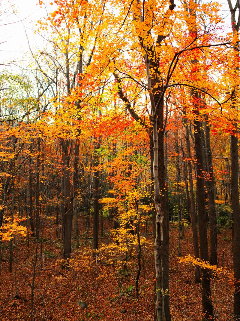12 Spectacular Spots in Pennsylvania You Have to See to Believe ...