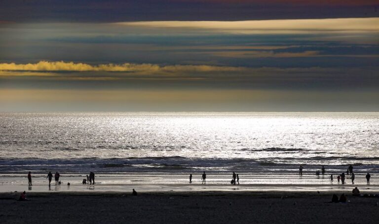 13 Fun Coastal Experiences in Seaside, Oregon: Beach Walks, Seals & Trails