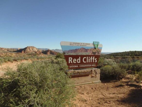 My St. George Bucket List: Utah's Red Rock Playground (Beyond Zion)