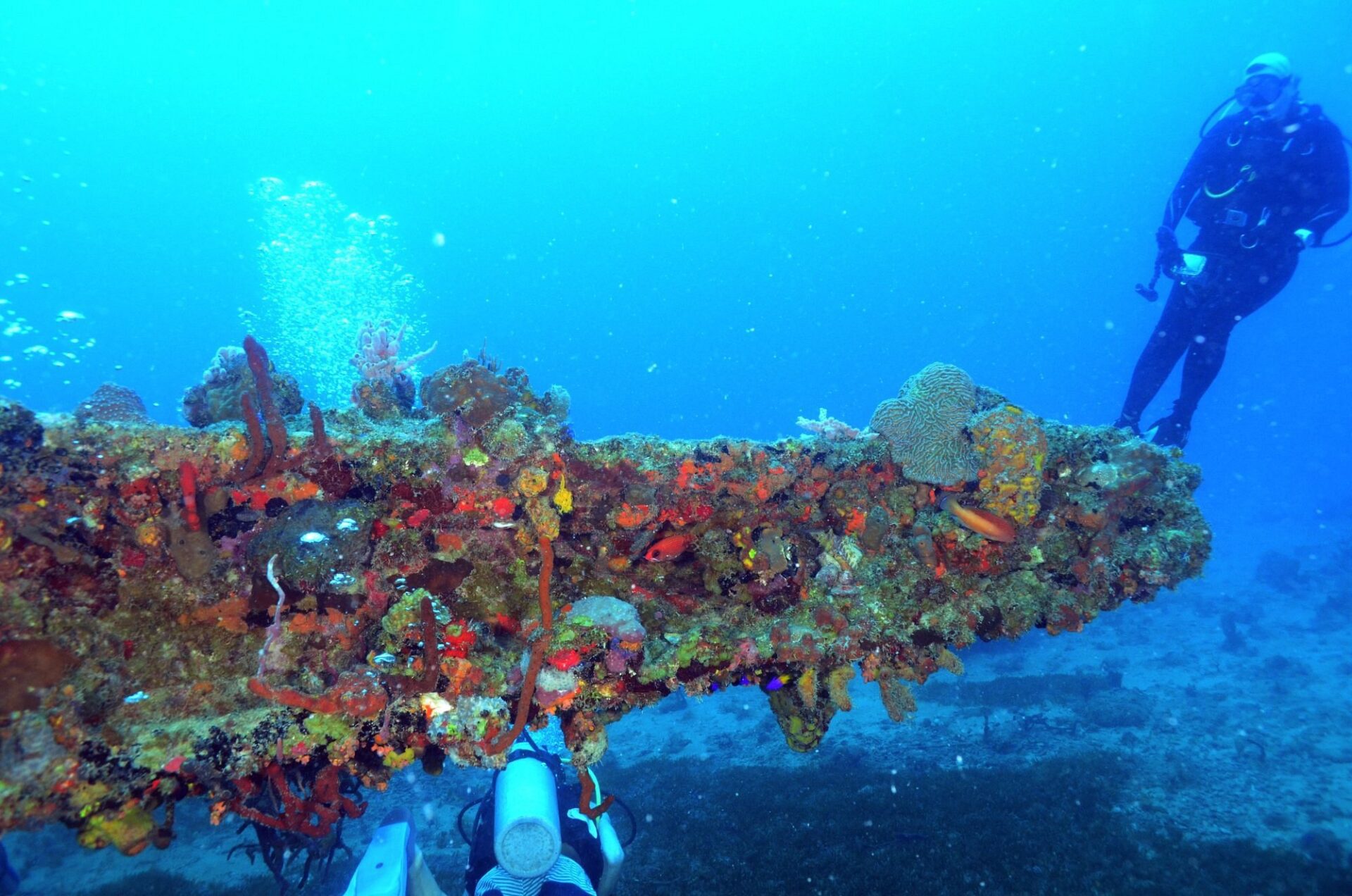 12 Must-See British Virgin Islands (BVI) Attractions & Unique Activities