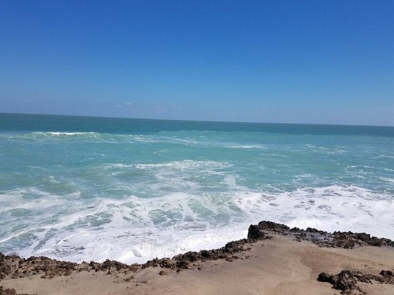 South Florida Bucket List: 15 Fun Things to Do & See
