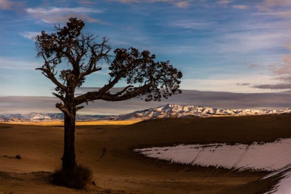 12 Scenic Destinations in Nevada You Need to See