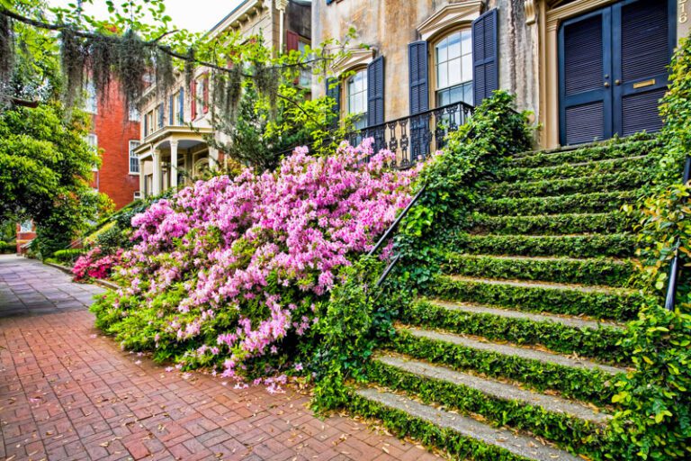 12 Can’t-Miss Things to Do in Southeast US (From Locals’ Favorites to ...