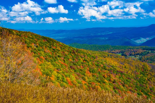 West Virginia with Kids: Caves, Steam Trains & Amber Waterfalls