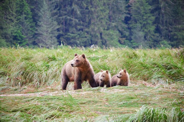 12 British Columbia Destinations That Look Straight Out of a Dream