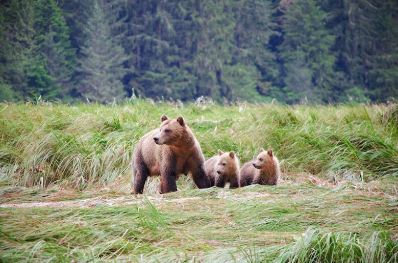 12 British Columbia Destinations That Look Straight Out of a Dream