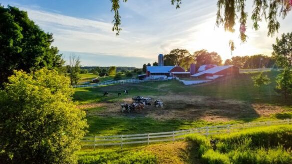 13 Picture-Perfect Places in Michigan That Feel Like a Dream - Global ...