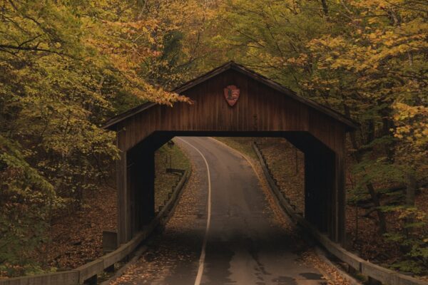12 Wonderfully Unique Places in Lower Michigan You Need to See