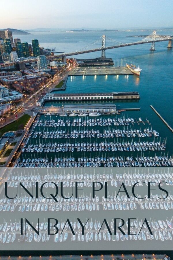 12 Unique Places to Visit in the Bay Area - Global Viewpoint