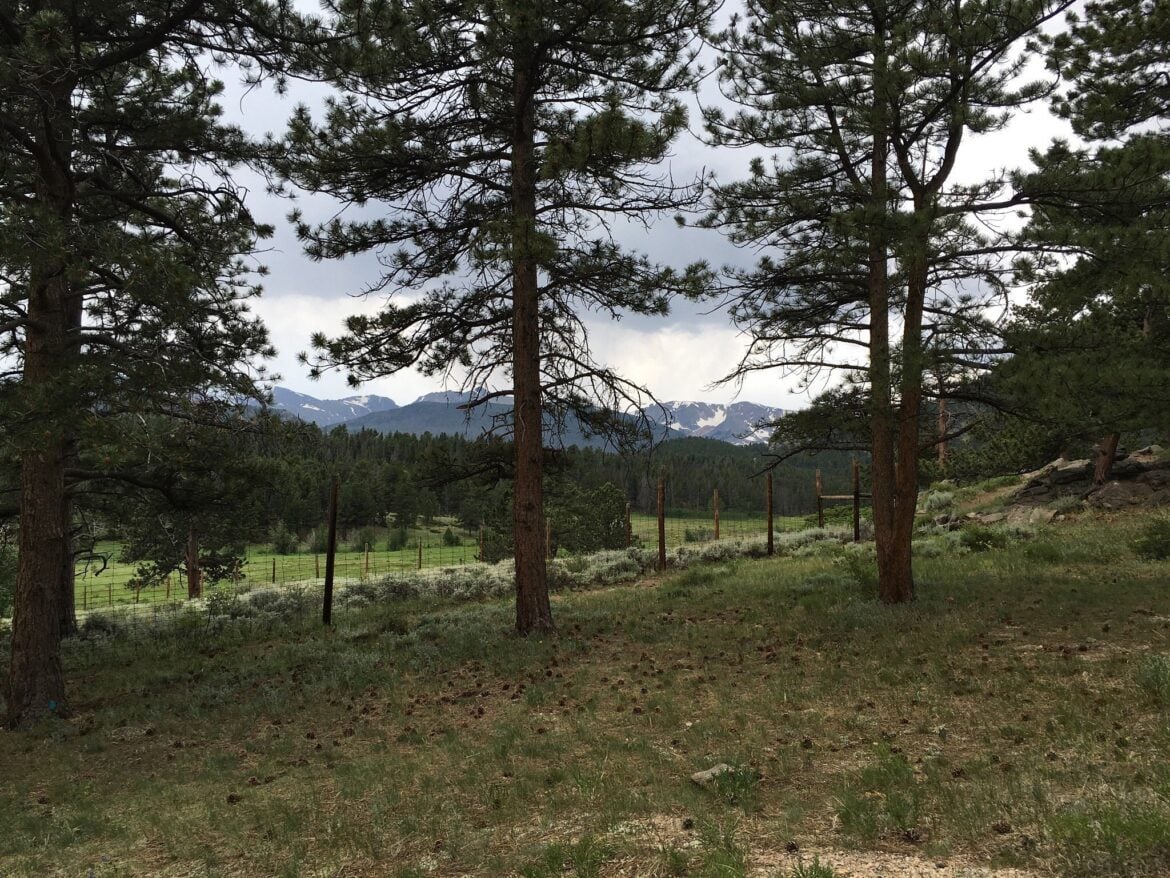 Rocky Mountain National Park Guide: From Bear Lake Views to Alpine Tundra