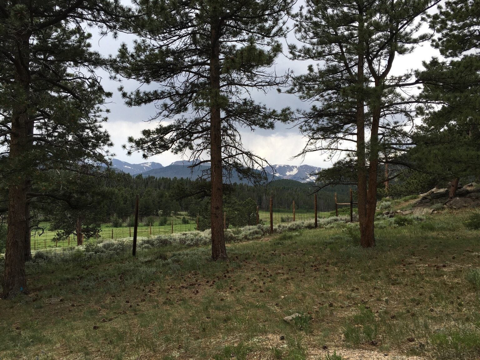 Rocky Mountain National Park Guide: From Bear Lake Views to Alpine Tundra