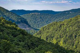 13 Unforgettable Family Adventures in West Virginia You Can’t Miss