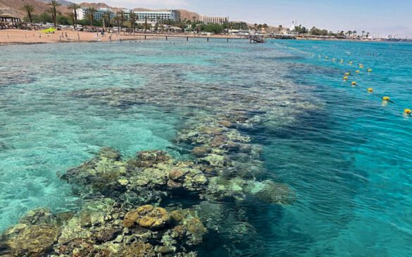 12 STUNNING Places to Visit in Israel (Nature Gone Wild!)