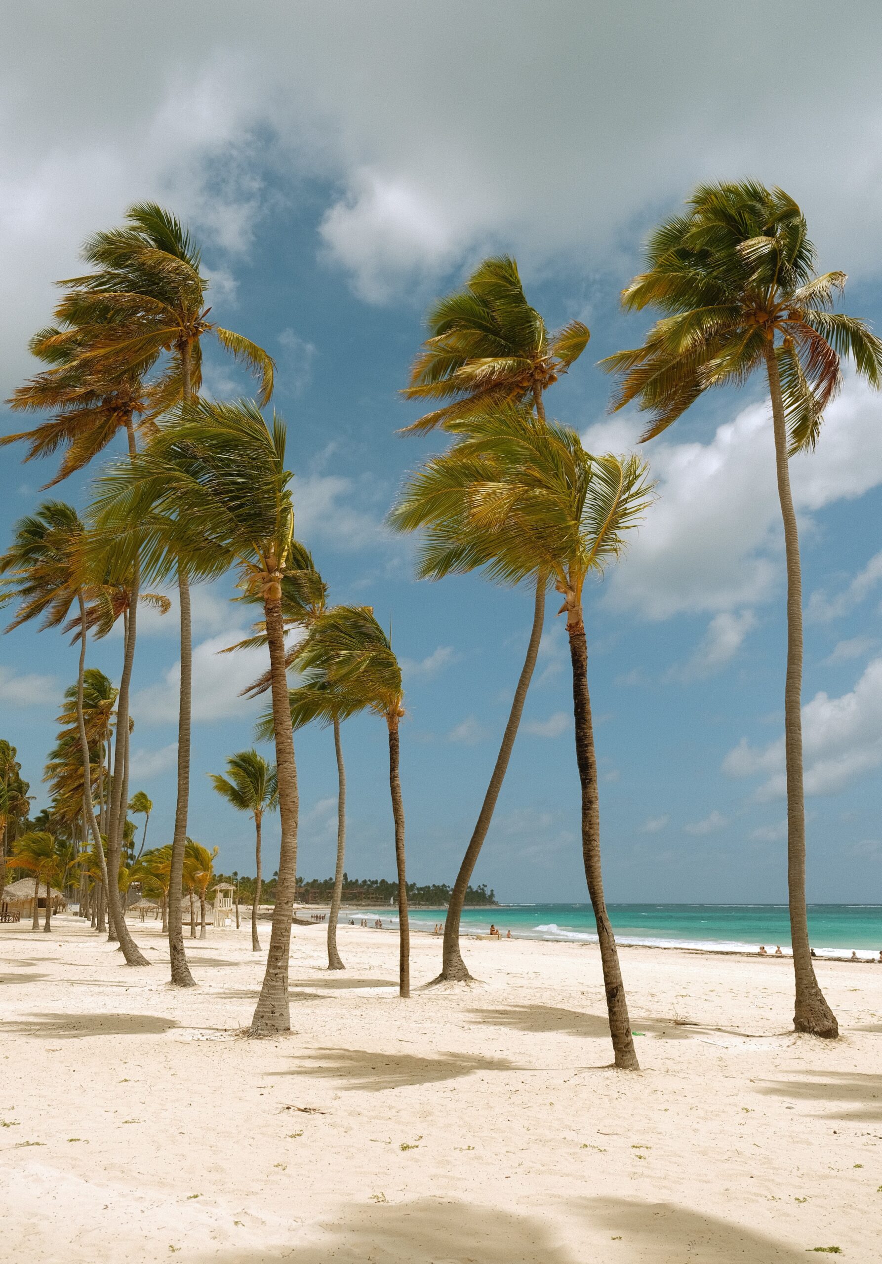 12 Most Beautiful Places in the Dominican Republic to Visit (2025)