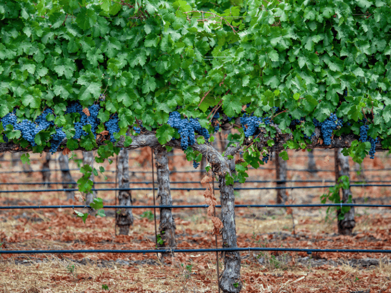 10 Gorgeous US Fall Destinations for Cozy Vibes and Epic Views