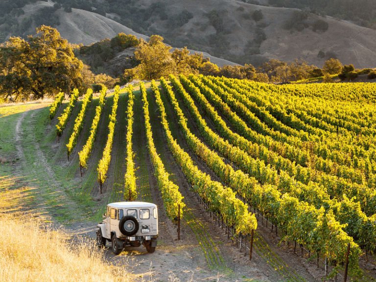 10 Gorgeous US Fall Destinations for Cozy Vibes and Epic Views