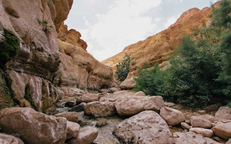 12 STUNNING Places to Visit in Israel (Nature Gone Wild!)