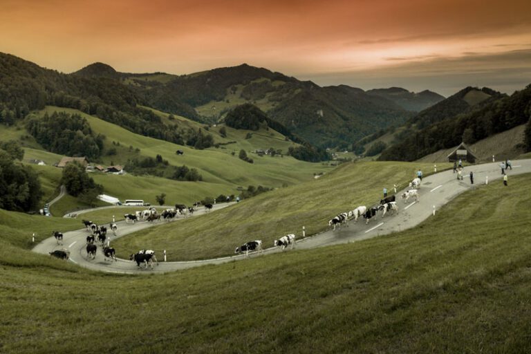 My Ultimate Guide to Appenzell: Top 15 Wonderful Things to Do